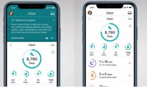 Hướng dẫn cách cách kiểm tra số Serial Fitbit | LagiHitech.vn