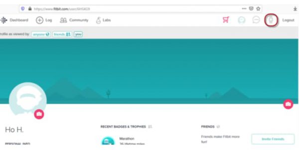 Hướng dẫn cách cách kiểm tra số Serial Fitbit | LagiHitech.vn